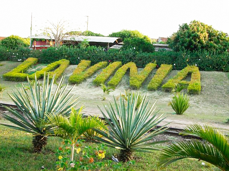 Lavínia - Estado de Sao Paulo | Cidades do Brasil