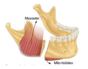 Fratura de Mandíbula – Diagnóstico e Tratamento